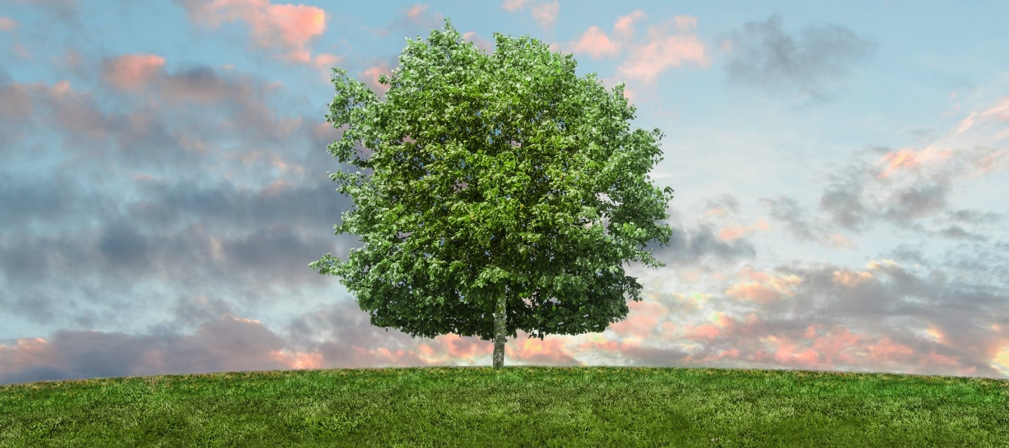 Certificate of Ecology - Australian Online Courses