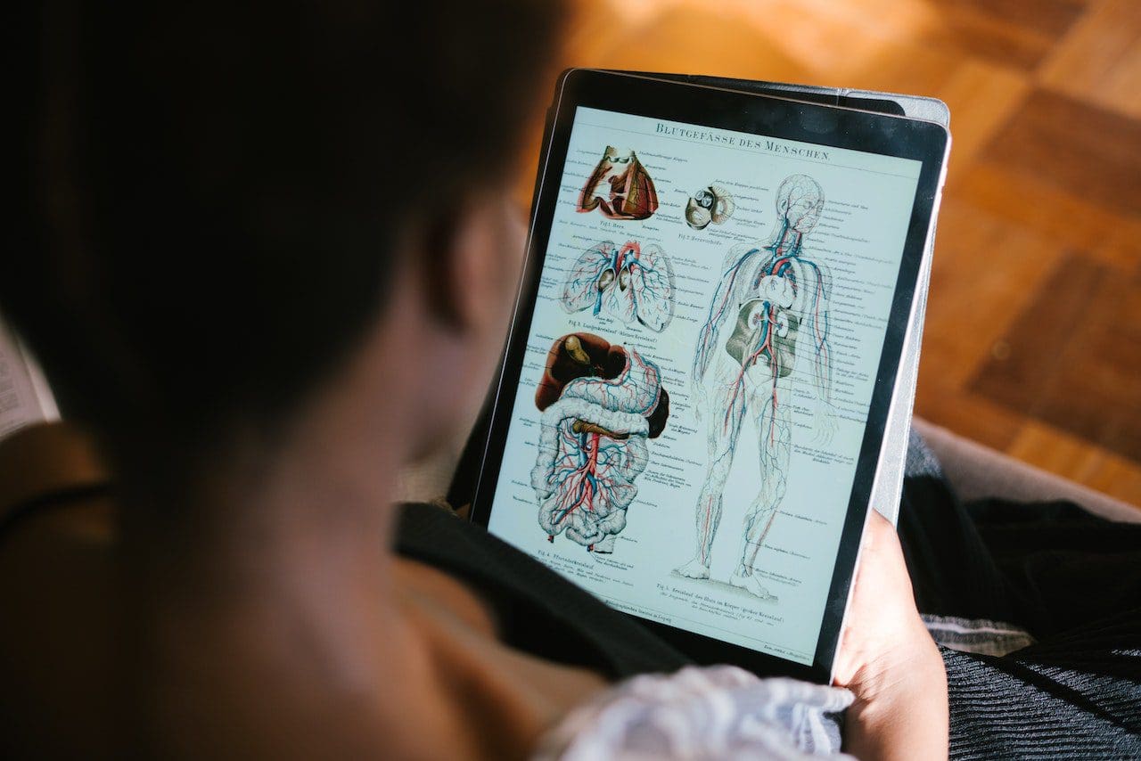 25-amazing-facts-about-the-human-body-australian-online-courses